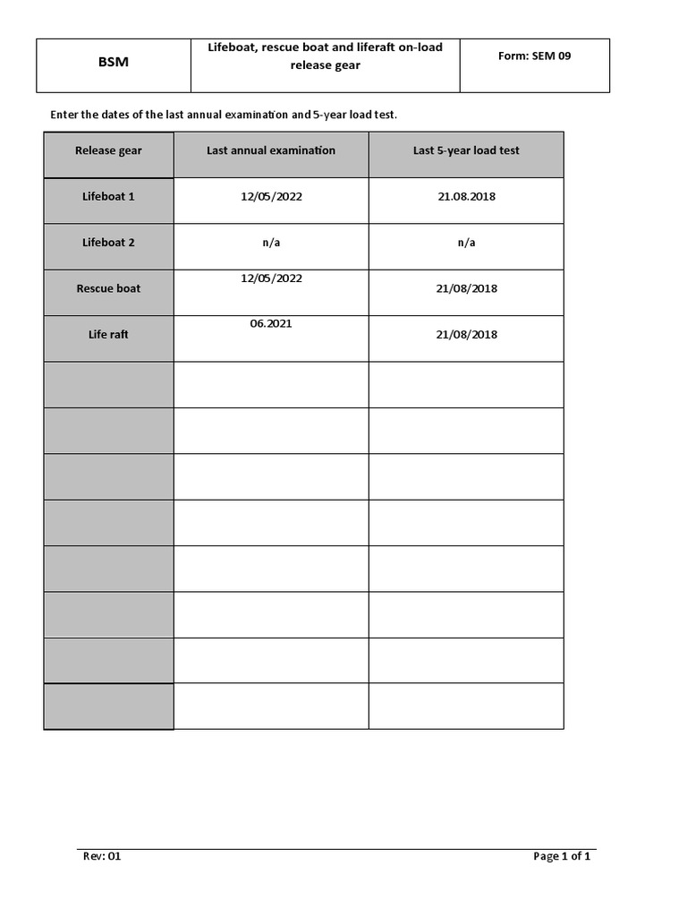 SEM 009 Lifeboat, Rescue Boat and Liferaft On-Load Release Gear | PDF