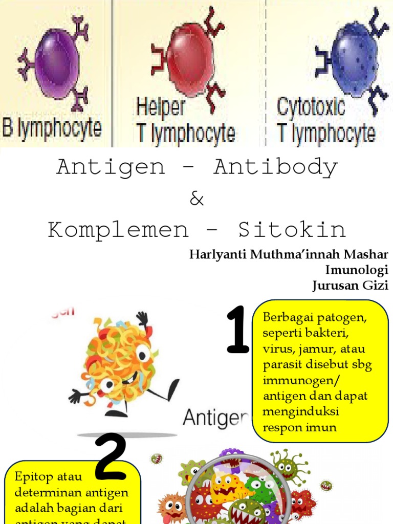 2 Antigen Dan AntiBodi, Komplemen Dan Sitokin 22 | PDF