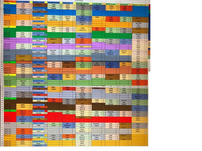 Calendario de Rotaciones CiSa | PDF