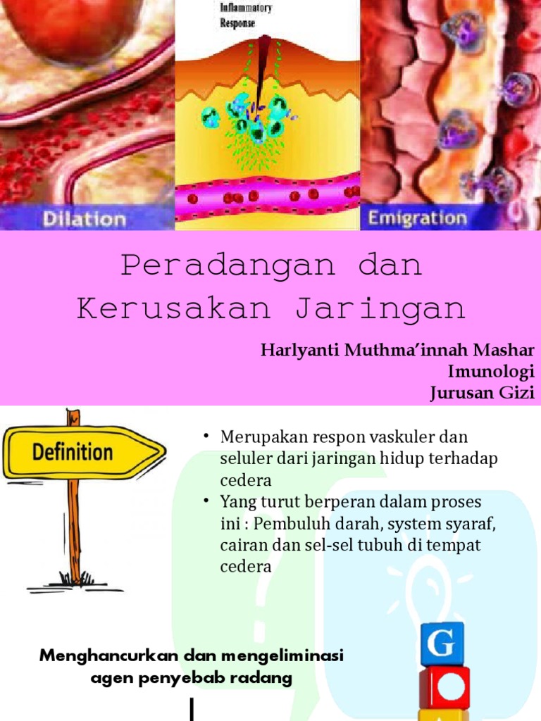 3 Peradangan Dan Kerusakan Jaringan 22 | PDF