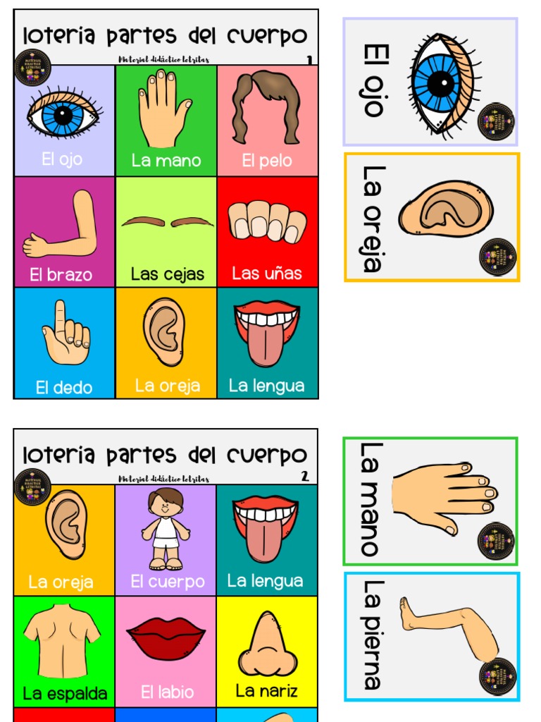 Lotería Partes Del Cuerpo | PDF | Mano | Clavo (anatomía)