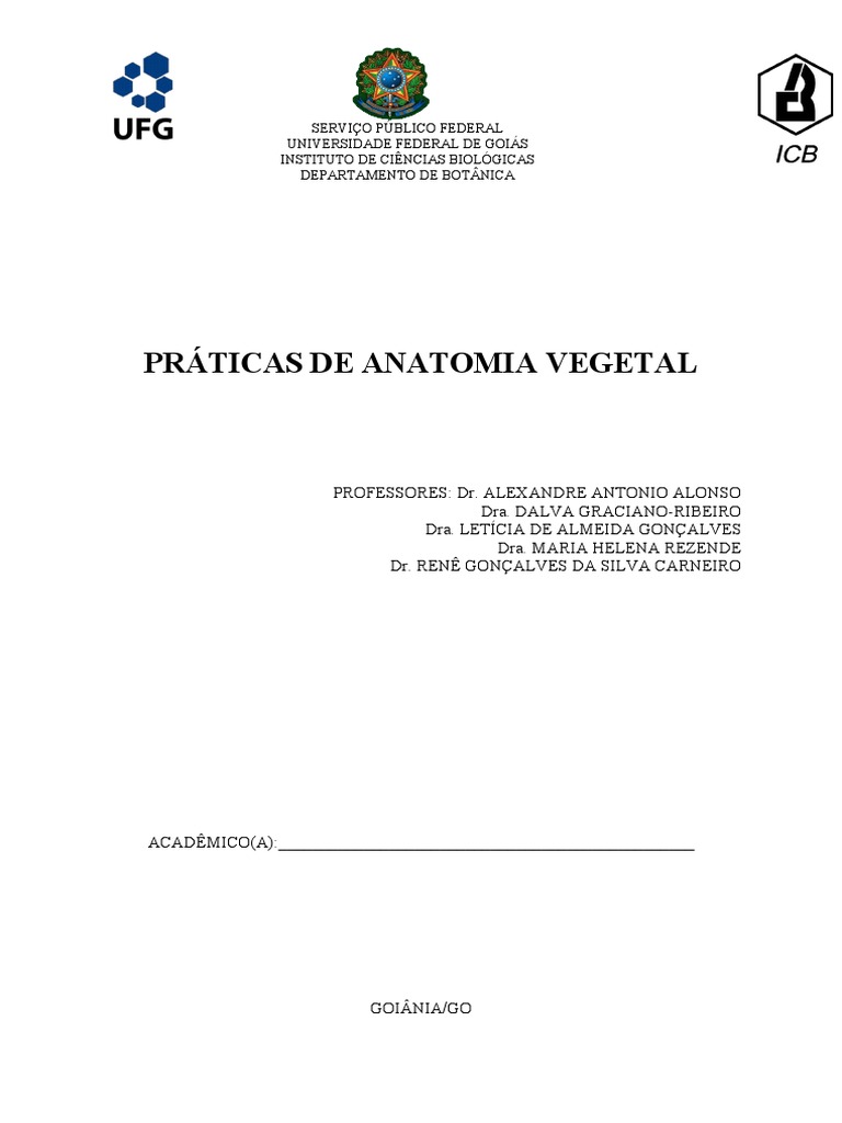 Roteiro Aulas Prticas Anatomia Vegetal.2022 | PDF | Raiz | Folha