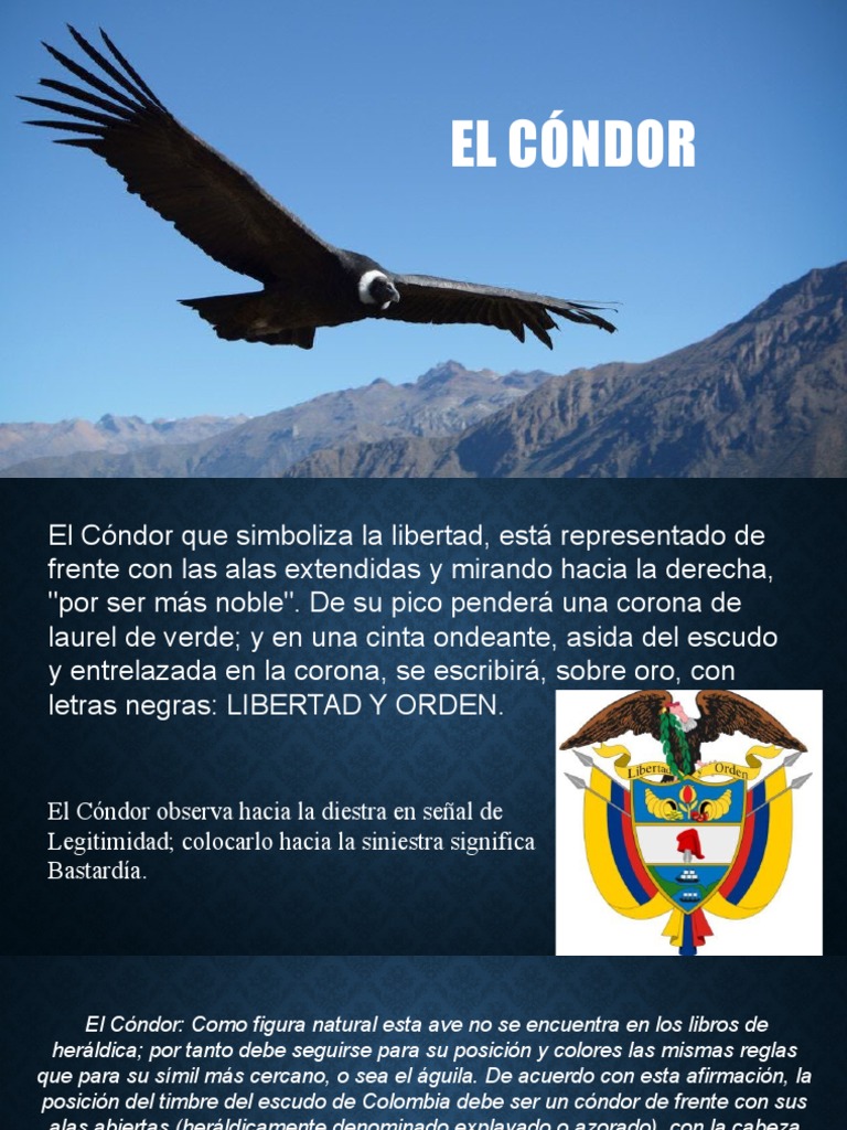 El Cóndor | PDF | Los símbolos