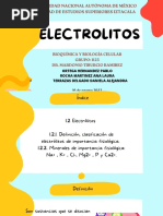 Electrolitos: Funciones y Características | PDF | Electrólito | Sodio