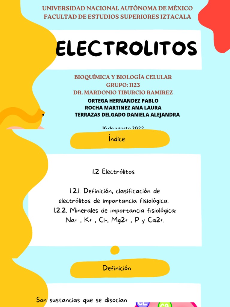 Electrolitos: Definición, clasificación e importancia fisiológica de los principales iones | PDF ...