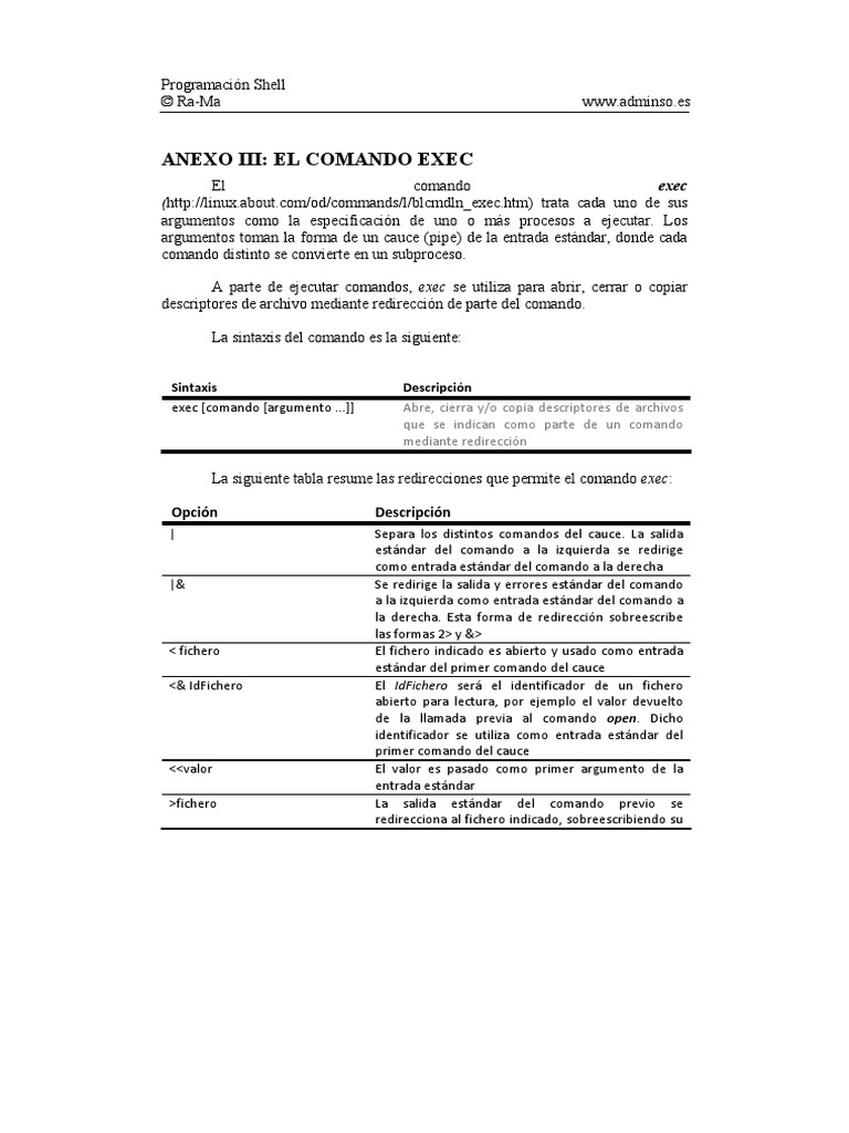 Uso avanzado del comando exec en Shell | PDF | Archivo de computadora ...
