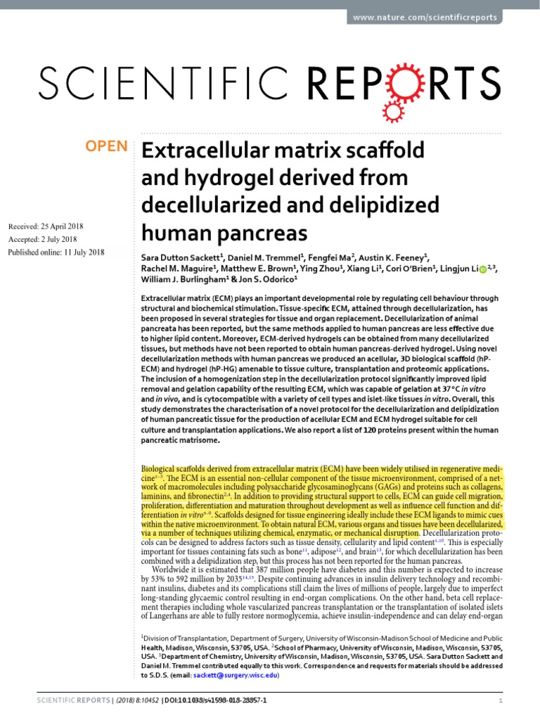 Extracellular Matrix Scafold | PDF | Extracellular Matrix | Tissue Engineering