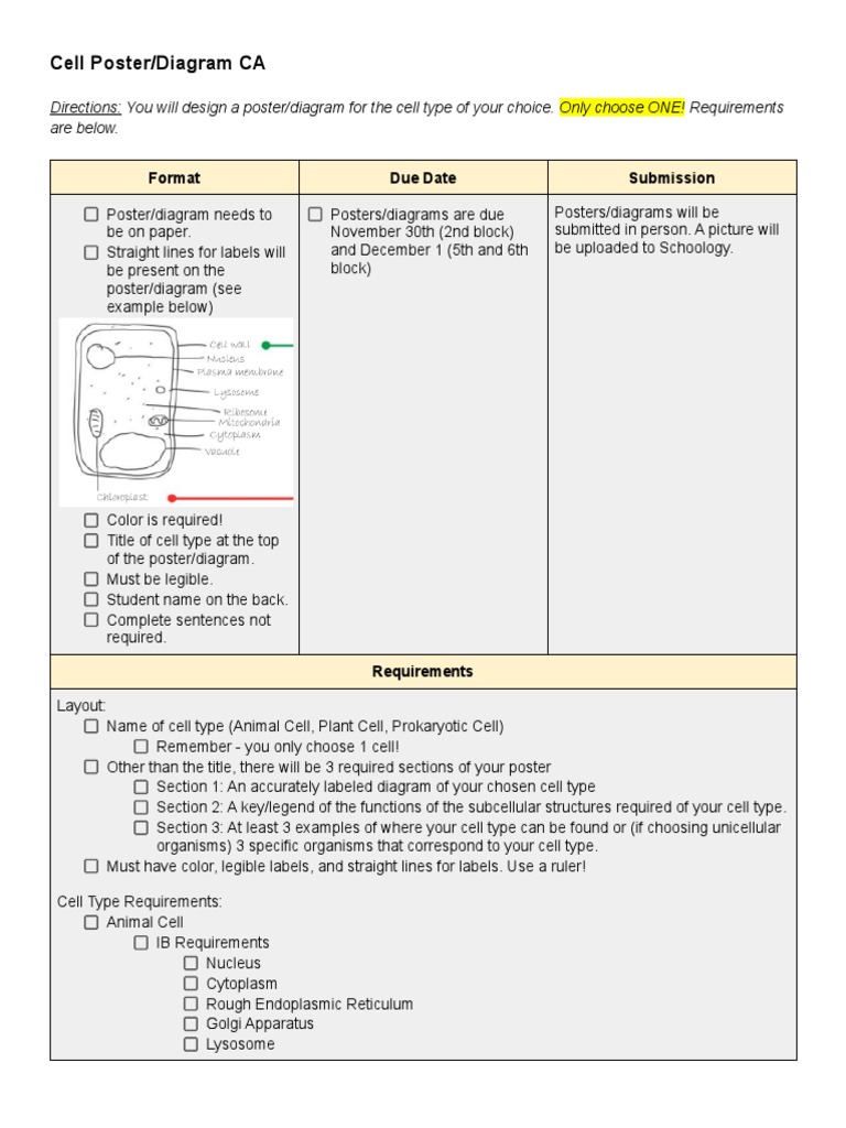 Cell Poster Diagram CA | PDF | Cell (Biology) | Eukaryotes