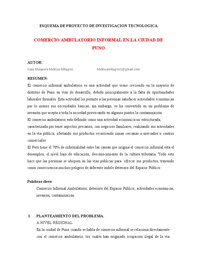 Proyecto de Investigacion - Comercio Informal | PDF | Comercio ...
