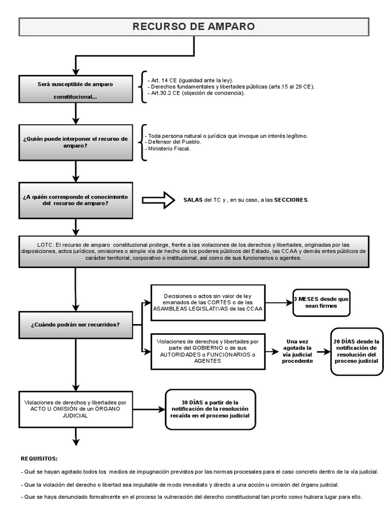 Esquema Recurso de Amparo | PDF | Ley Pública | Ciencias Políticas