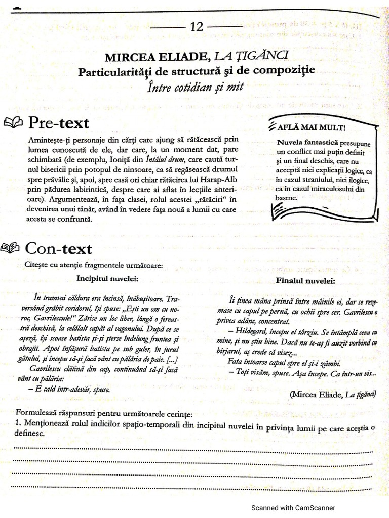 Fișe de Lucru - La Țigănci, Mircea Eliade (Editura Delfin) | PDF