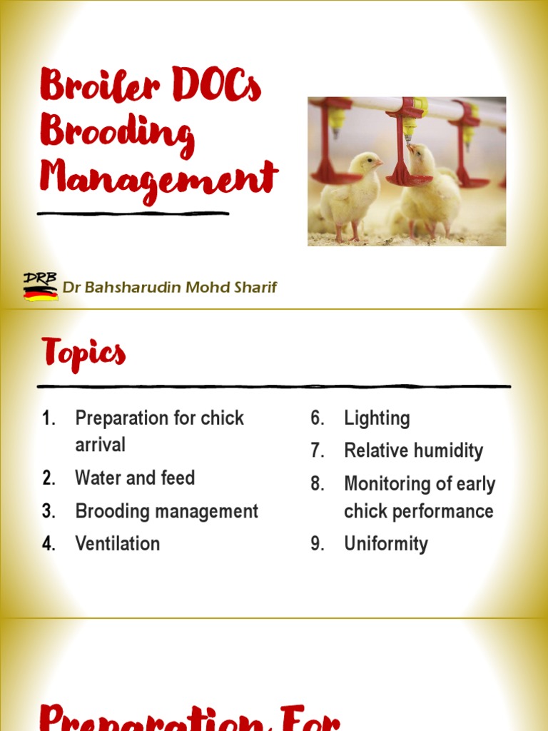 3-Broiler DOCs Brooding Management | PDF