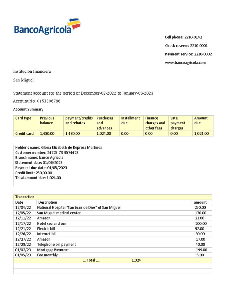 Bank Statement | PDF | Credit Card | Payments