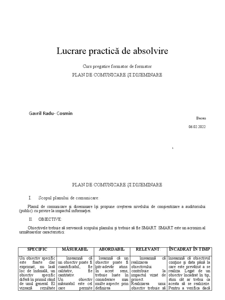 Model Plan de Comunicare - Radu Gavril | PDF