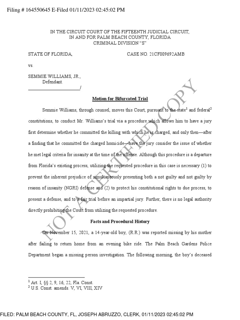 Motion For Bifurcated Trial | PDF | Insanity Defense | Burden Of Proof ...