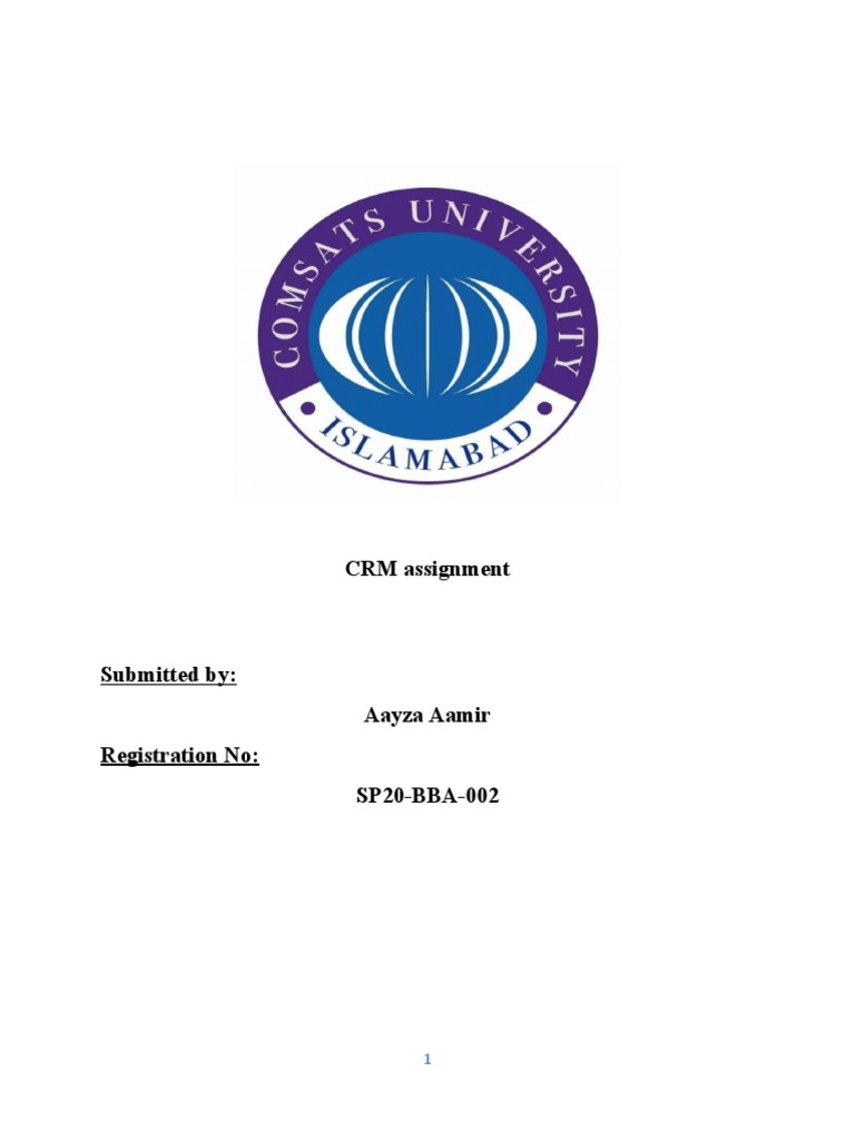 CRM Assignment | PDF