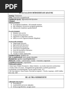 Kiscsoportos Tervezet | PDF