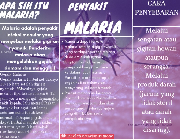 Leaflet Malaria Kemenkes | PDF