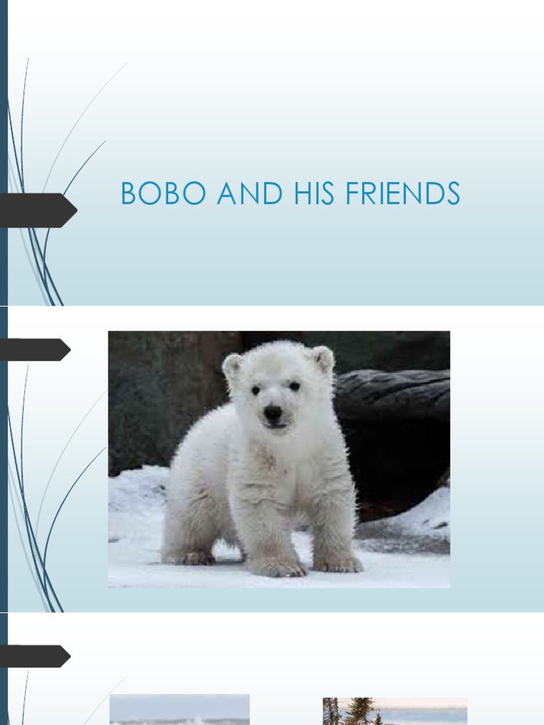Bobo and His Friends | PDF