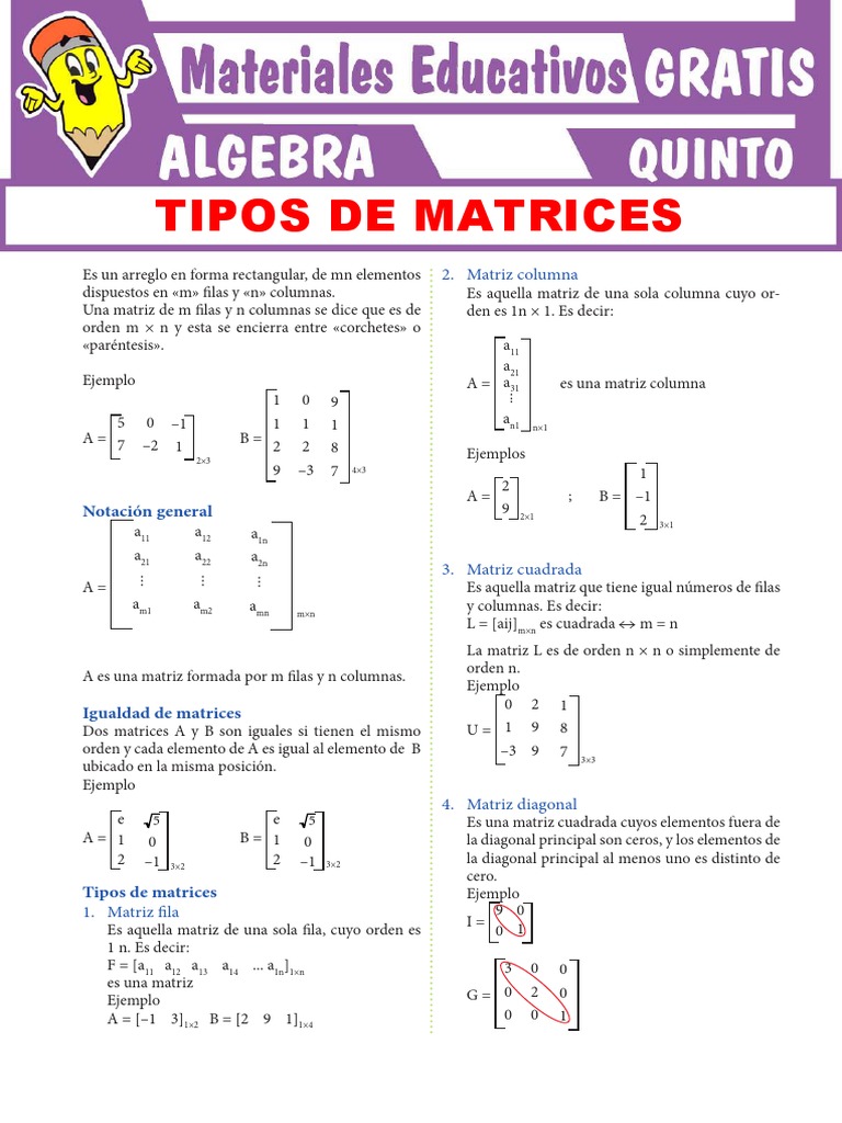 Tipos de Matrices para Quinto Grado de Secundaria | Descargar gratis PDF | Matriz (Matemáticas ...