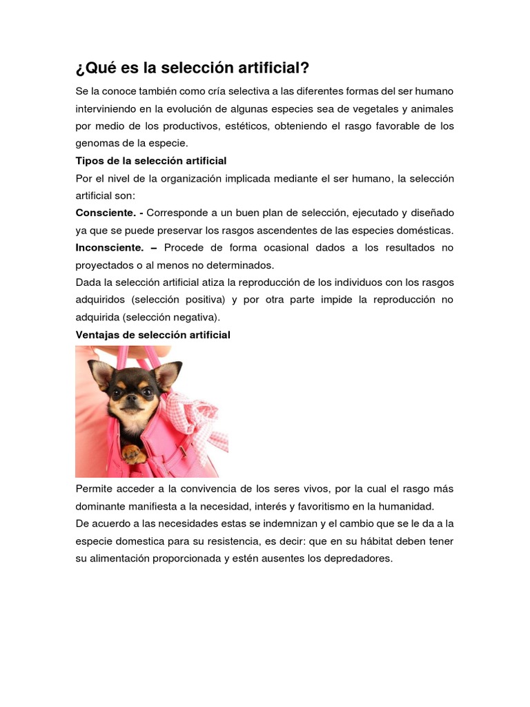 Selección Artificial: Definición y Ejemplos | PDF | Crianza selectiva ...