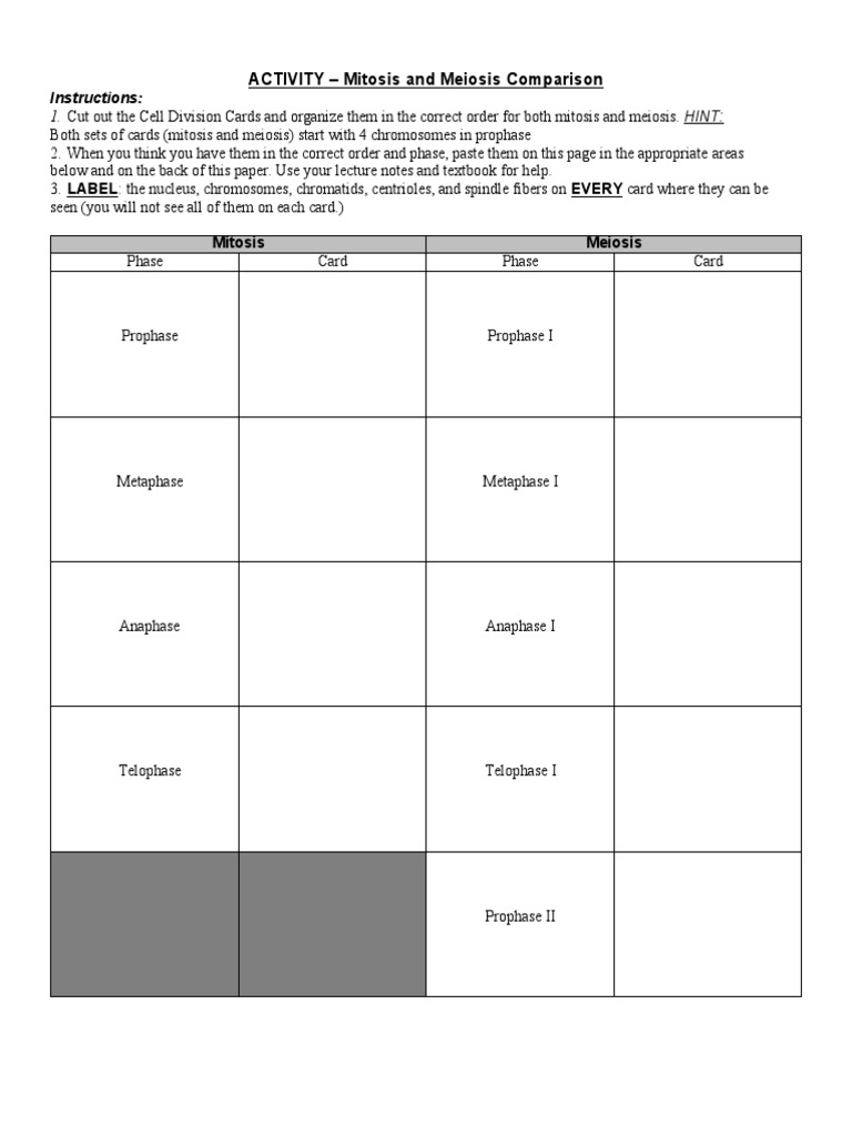 ACTIVITY - Mitosis and Meiosis Comparison | PDF
