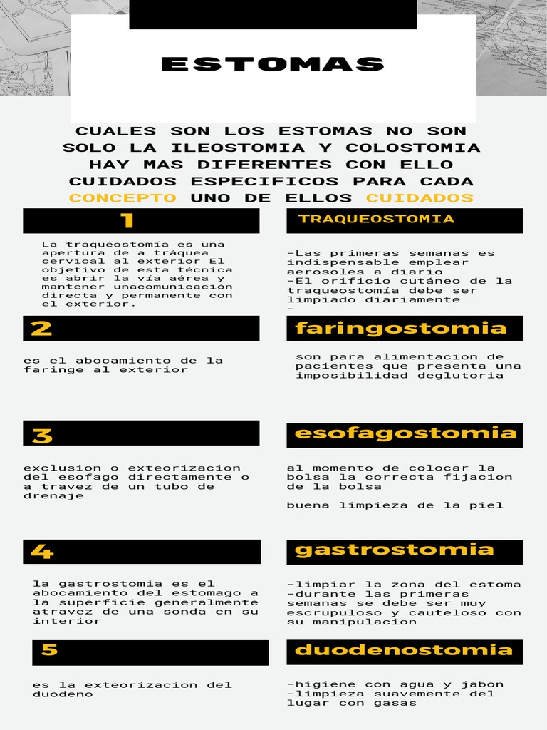 Estomas | PDF | Gastroenterología | Órgano (anatomía)