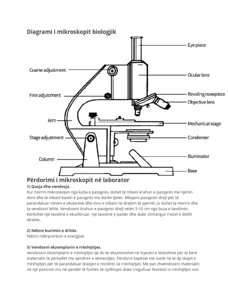 Diagrami I Mikroskopit Biologjik | PDF