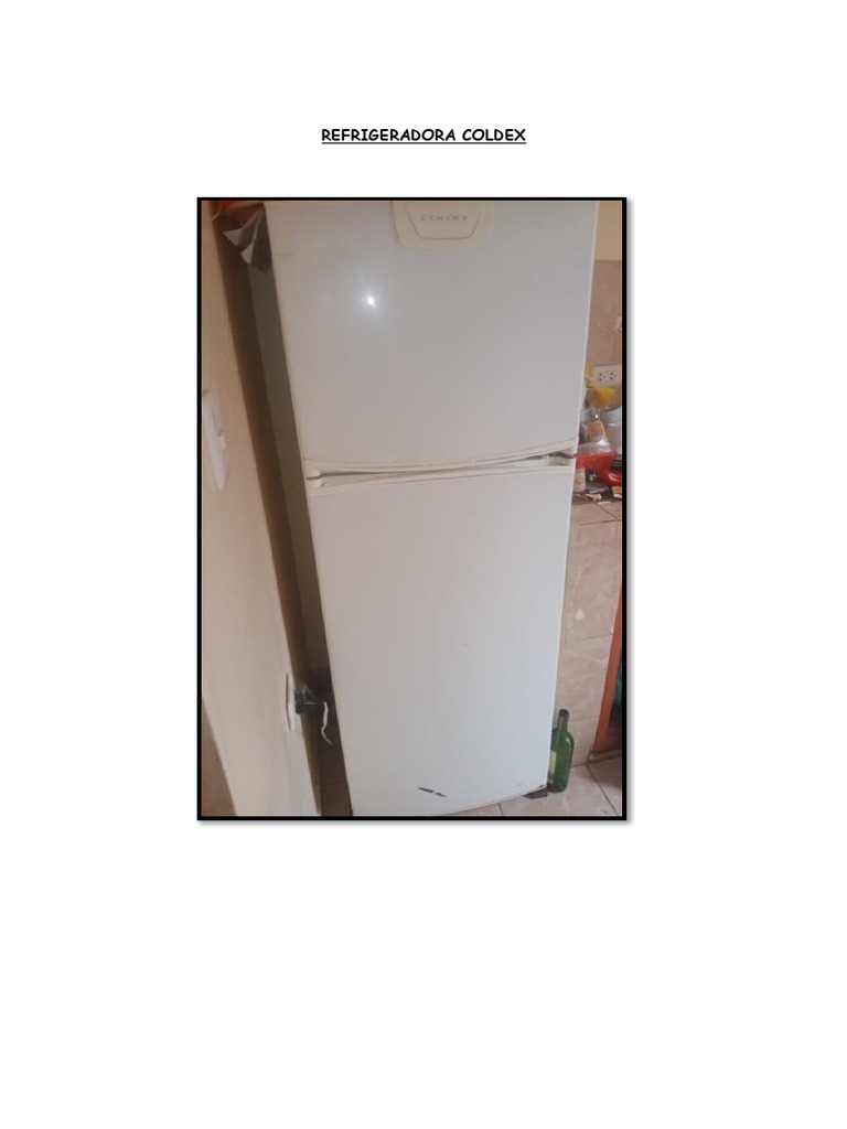 REFRIGERADORA COLDEX (3) RT | PDF