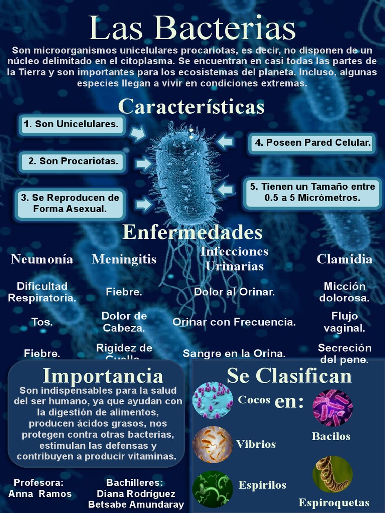 Infografía de Bacterias | PDF