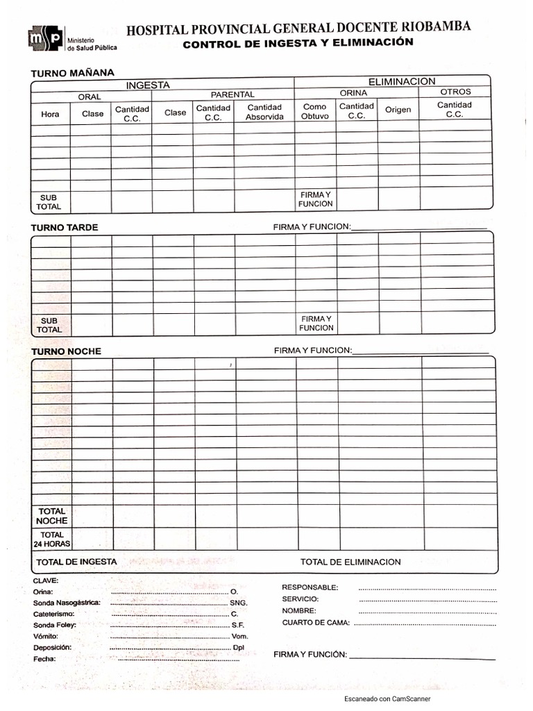 Hoja de Control de Ingesta y Excreta | PDF