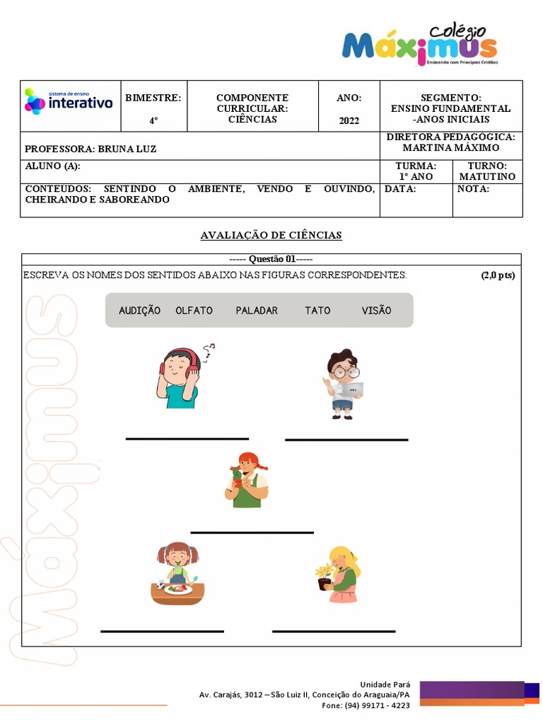Avaliação dos sentidos humanos: visão, audição, olfato, paladar e tato ...