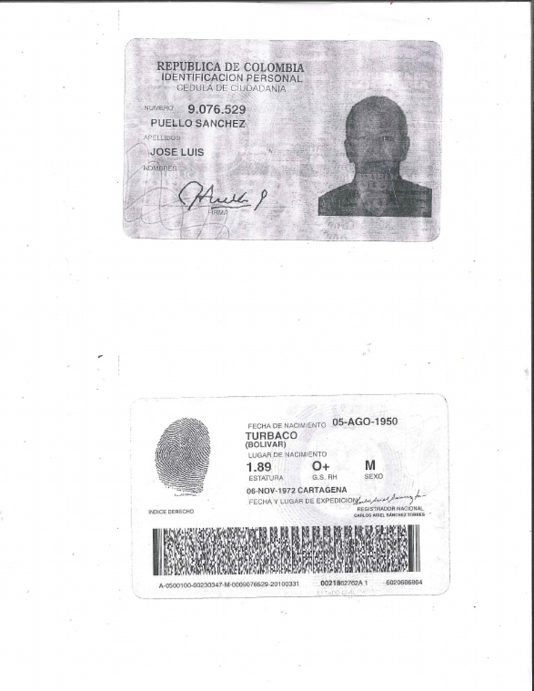 Cedula Jose Luis Puello | PDF