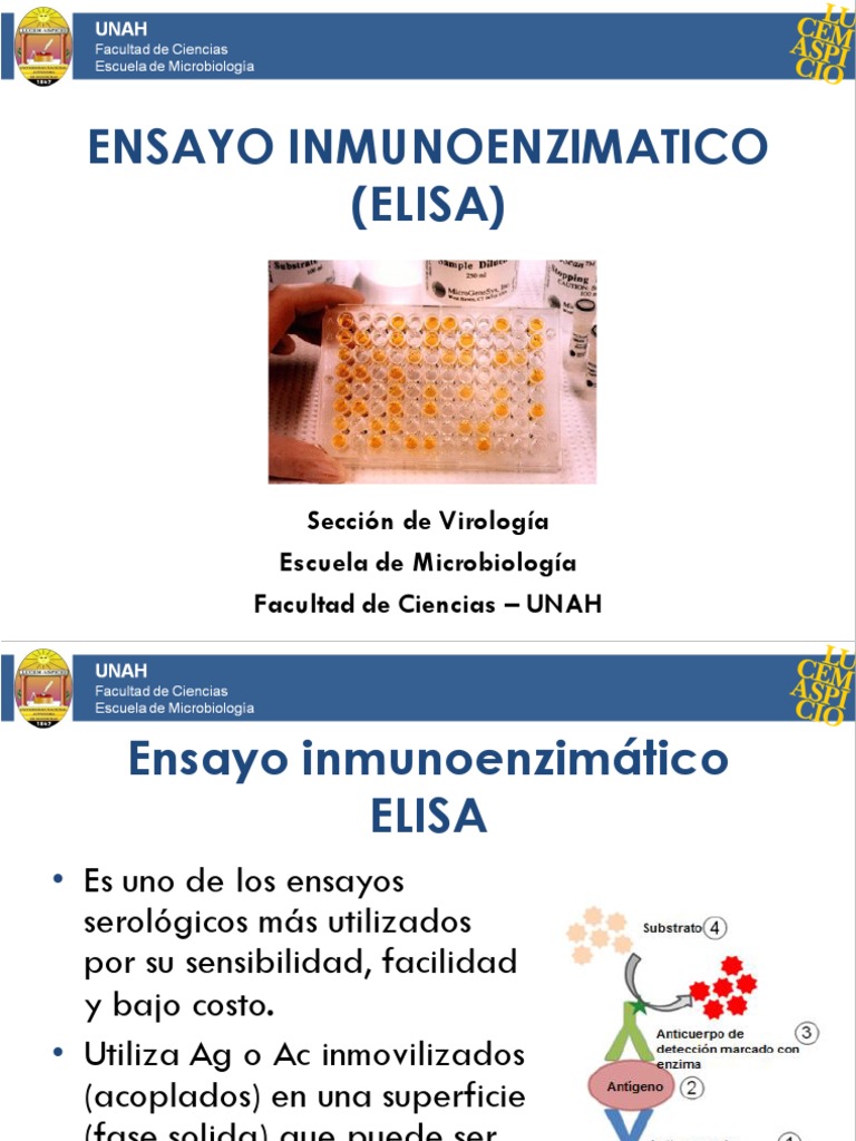 ELISA-Ensayo Inmunezimatico 2020 | PDF | Elisa | Química