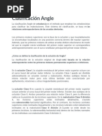 Relación Dental: Clases de Angle y Andrews | PDF | Anatomia dental | Diente