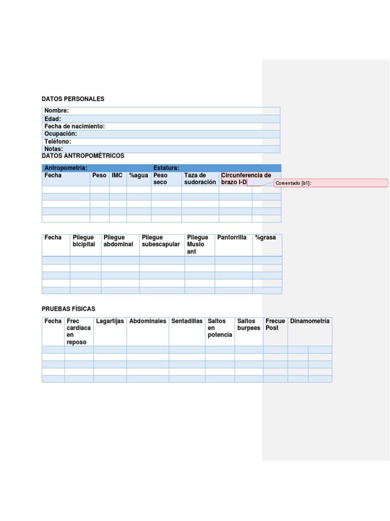 Formato de Mediciones | PDF