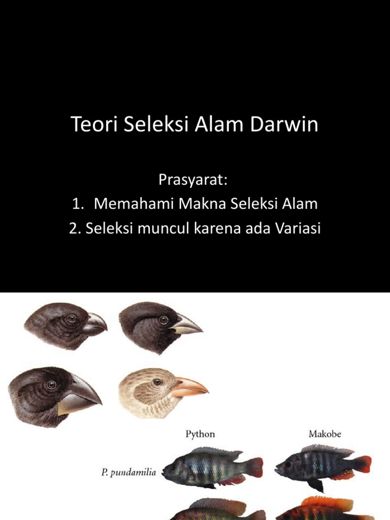 Teori Seleksi Alam Darwin | PDF
