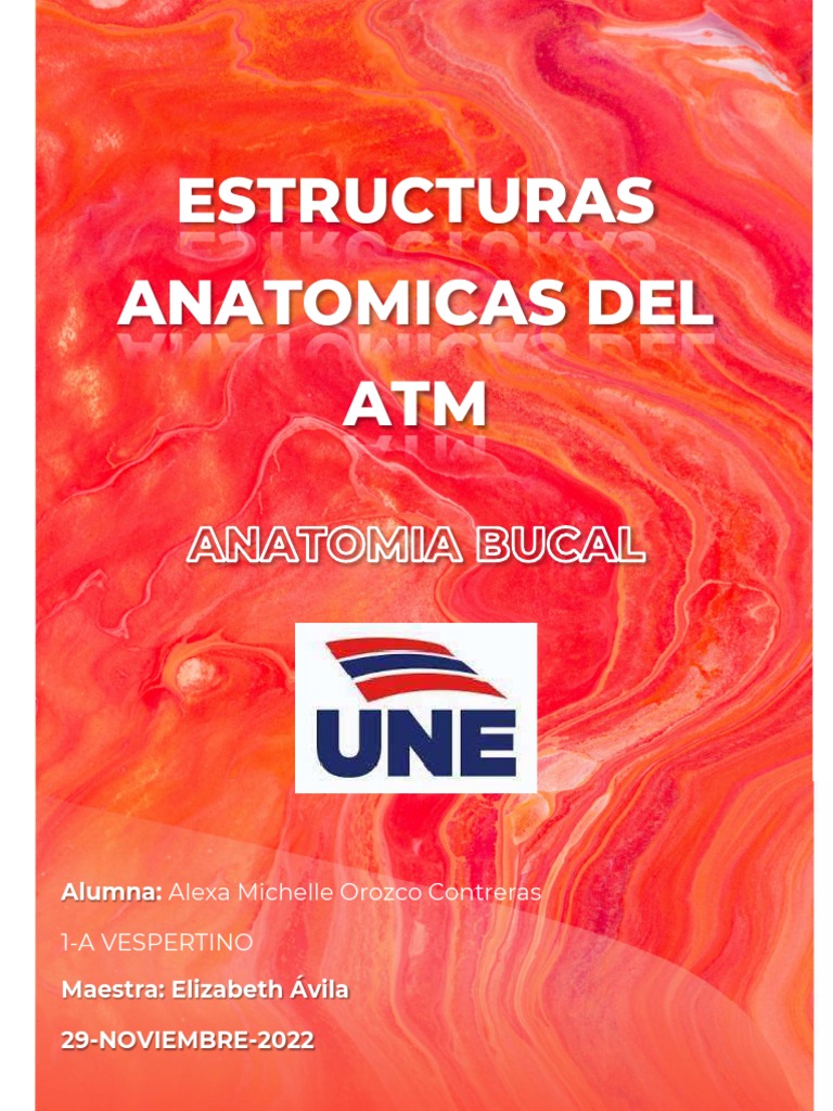 Estructuras Anatomicas Del ATM | PDF | Articulación | Anatomía