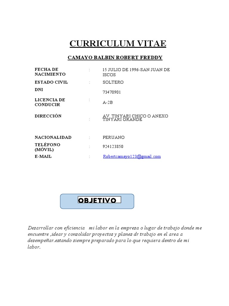 Curriculum Vitae CAMAYO | PDF