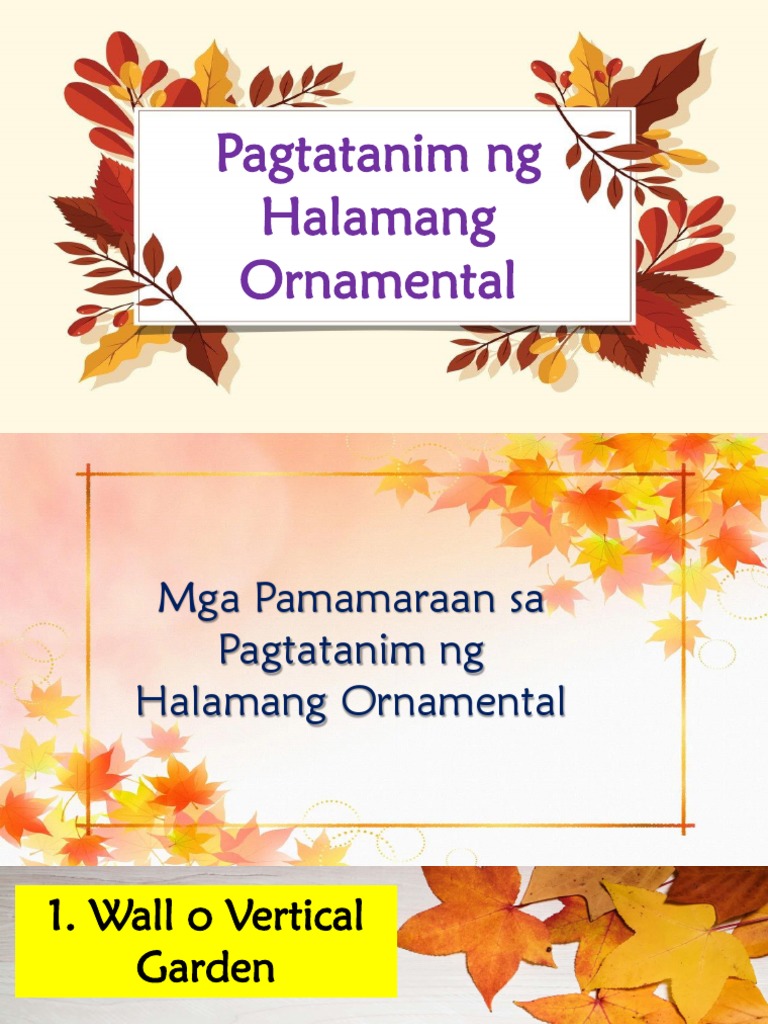 HELE 4 Lesson 4 Pagtatanim NG Halamang Ornamental | PDF