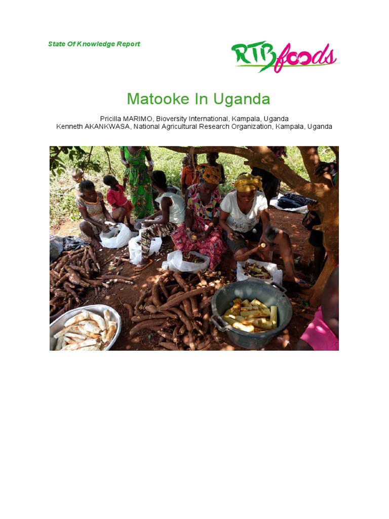 Matooke Farming Report | PDF | Banana | Agriculture