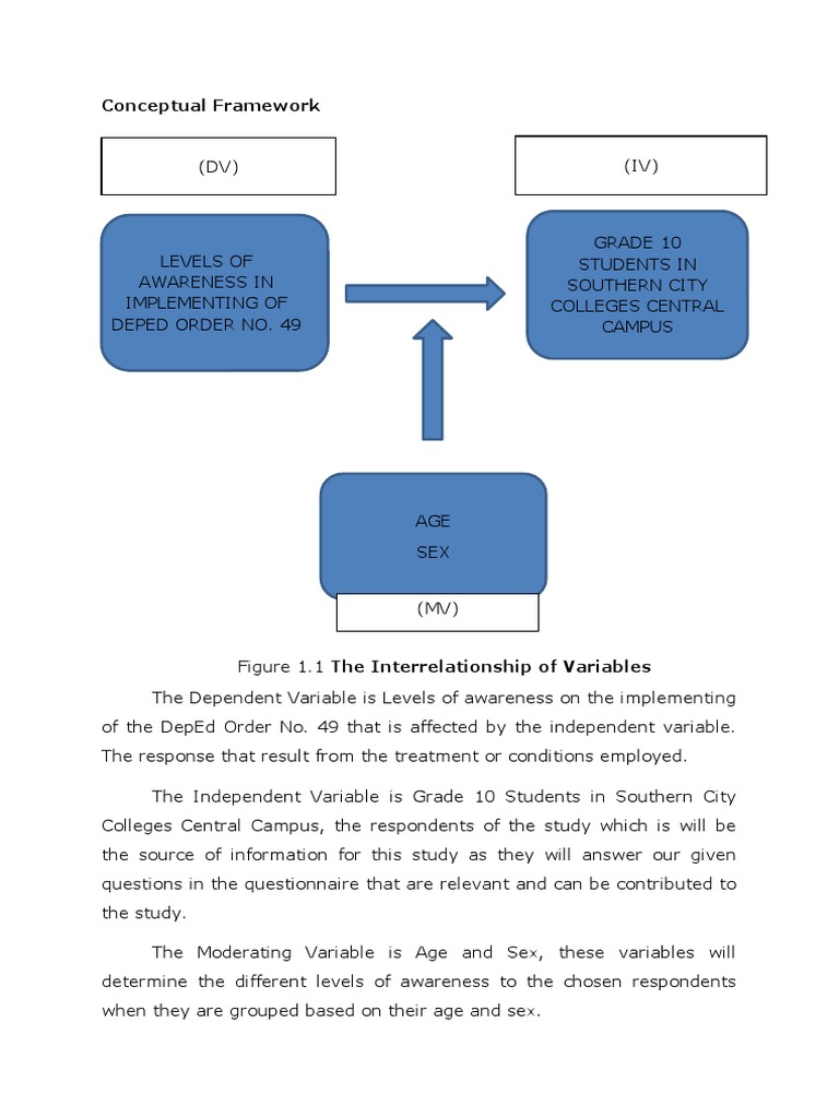 Conceptual Framework | PDF
