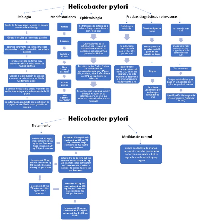 Helicobacter Pylori | PDF | Especialidades Medicas | Medicina CLINICA