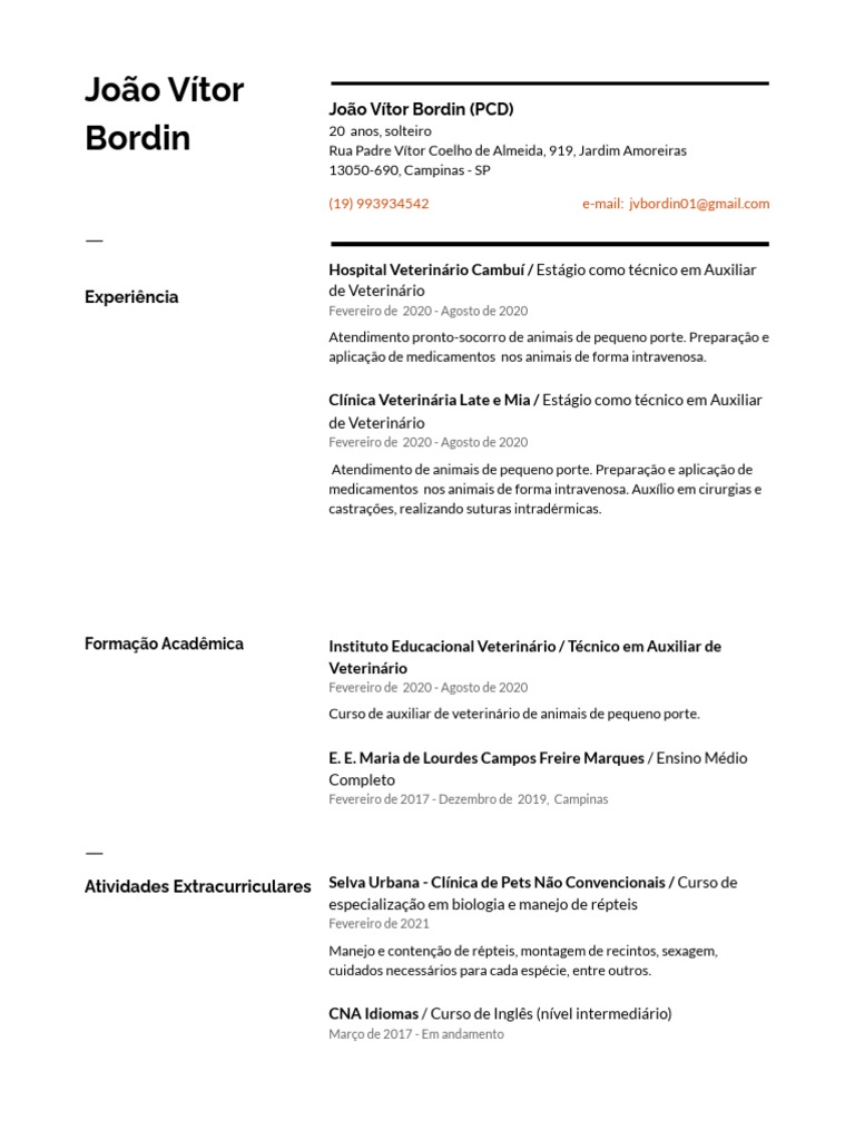 CV João Vitor | PDF
