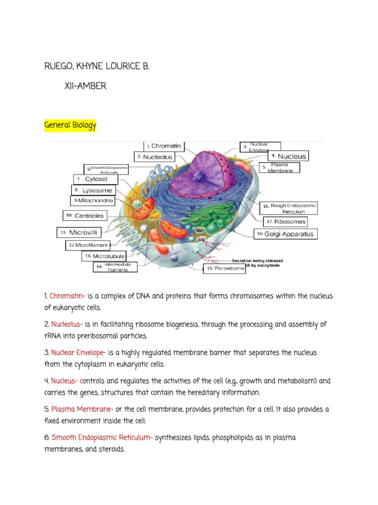(Gen. Biology) | PDF