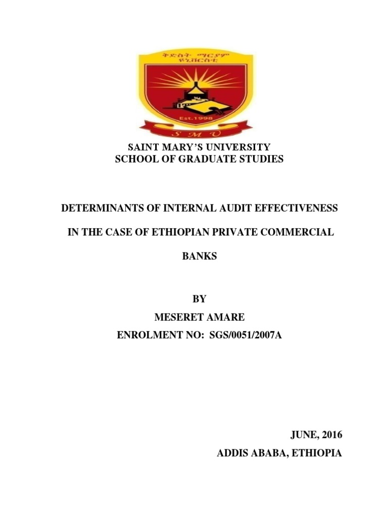 Meseret Amare Thesis Paper | Download Free PDF | Audit | Internal Audit