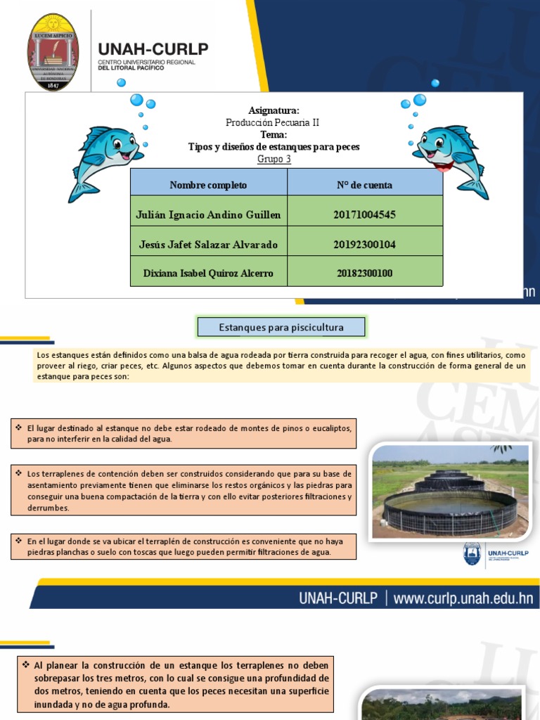 Tipos y Diseños de Estanques para Peces | PDF | Agua | Acuicultura
