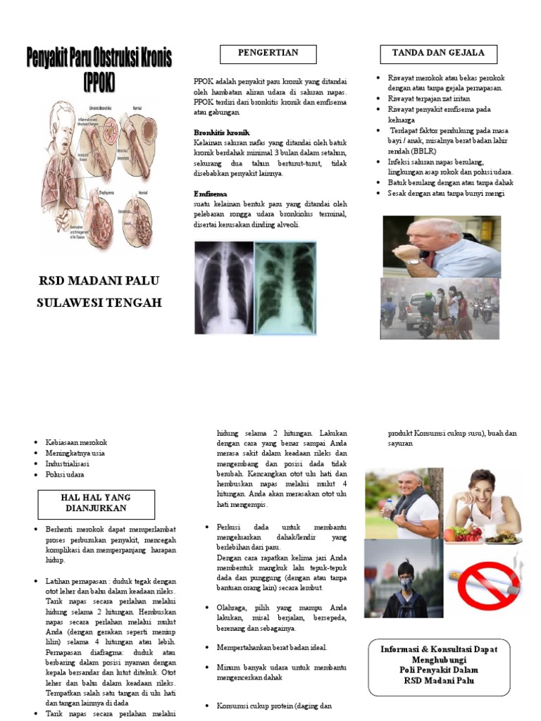 Leaflet Ppok | PDF
