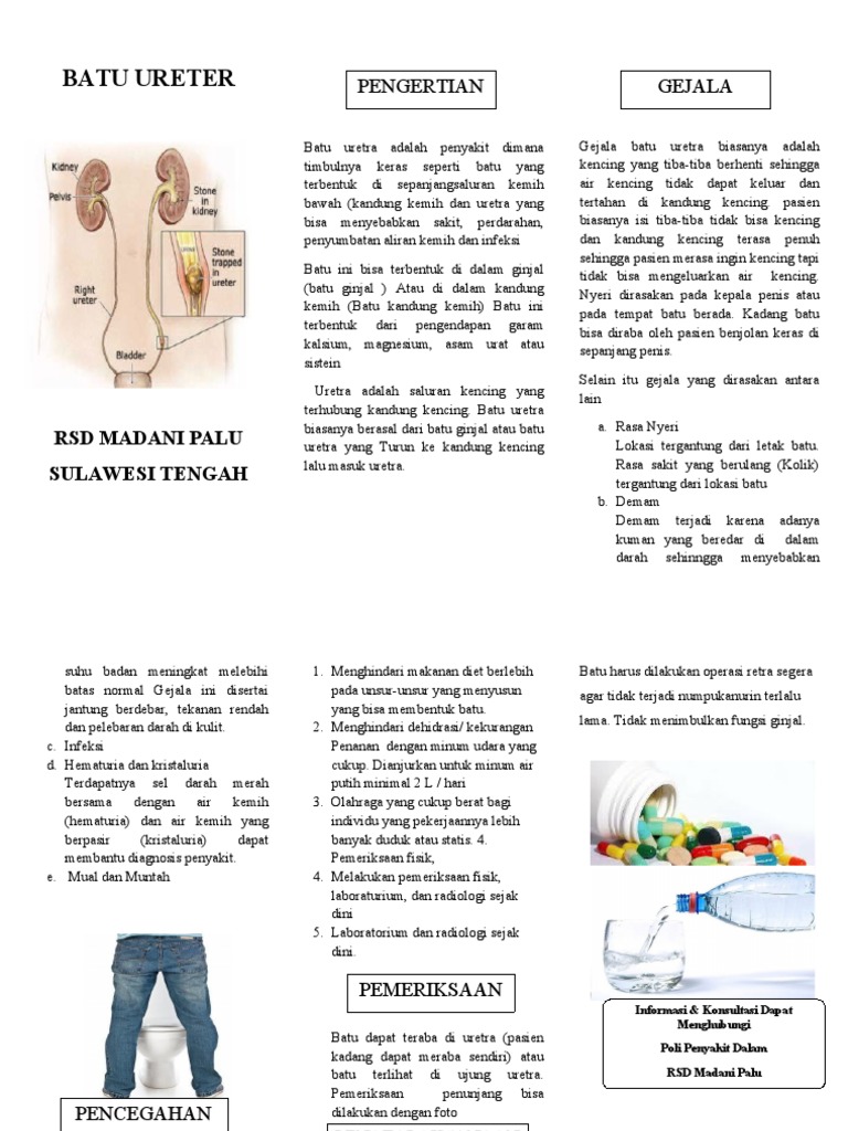 Leflet Batu Ureter | PDF