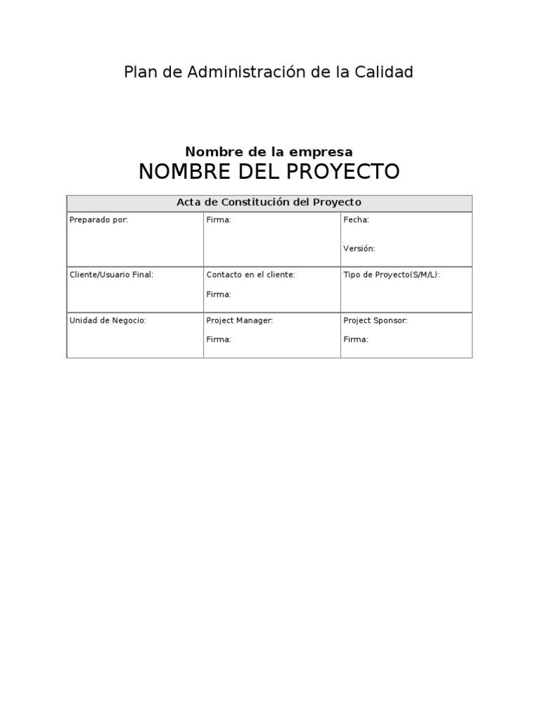 Plan de Administraci N de La Calidad - TEMPLATE | PDF | Calidad (comercial) | Informática